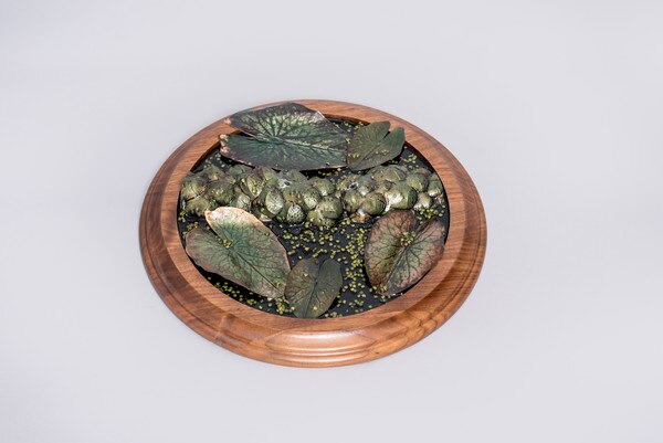12" Round Lily Pad Base | Ohio Taxidermy Supply Inc.