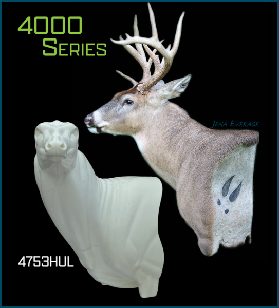 Whitetail Wall Pedestals - Versatile Mounting Options | Ohio Taxidermy ...