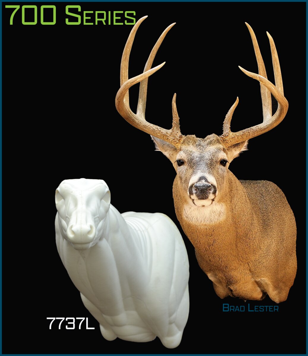 Whitetail Forms | Ohio Taxidermy Supply Inc.