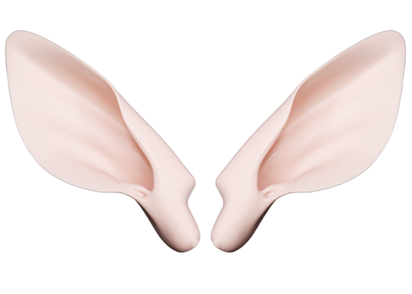 Cary Cochran Ear liners