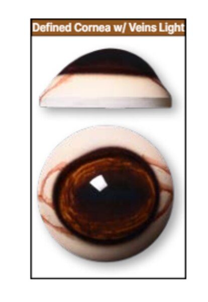 Deer Eye - Payer | Ohio Taxidermy Supply Inc.