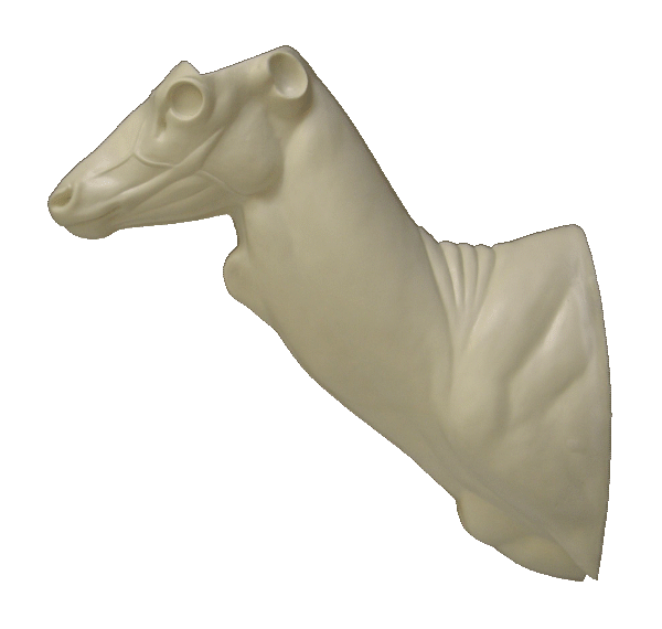 Fallow Deer Gamehead | Ohio Taxidermy Supply Inc.