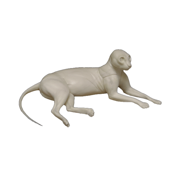 Med/Lg Cat Domestic/Wild Lying | Ohio Taxidermy Supply, Inc