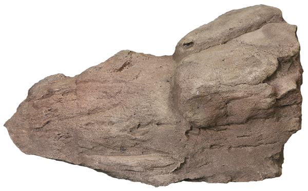 Rock #4 | Ohio Taxidermy Supply Inc.