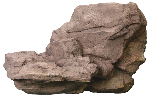 Non-Matrix : Rock 5 | Ohio Taxidermy Supply Inc.