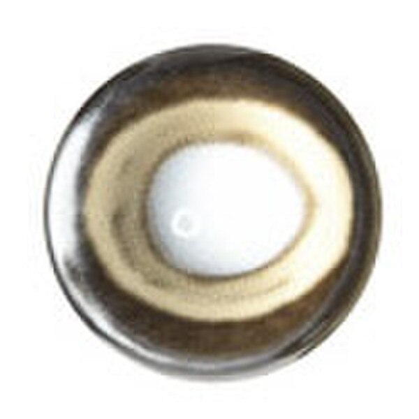 Walleye Flex-eyes | Ohio Taxidermy Supply Inc.